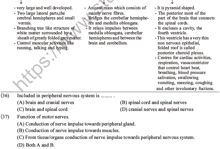 NEET Biology Neural Control and Coordination MCQs Set A with Answers